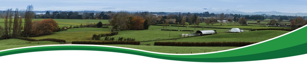 Audit company primary sector | QCONZ | About us